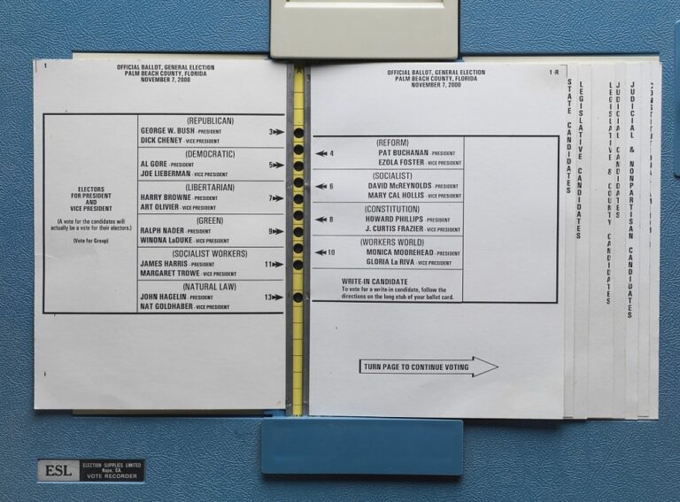 Did Ralph Nader or Florida's Butterfly Ballot Cost Al Gore the 2000 ...